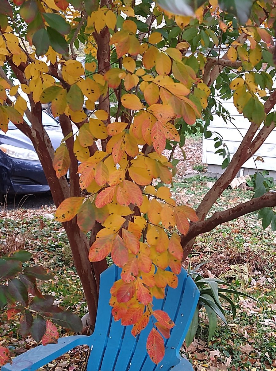 Fall chair | CranePaints: